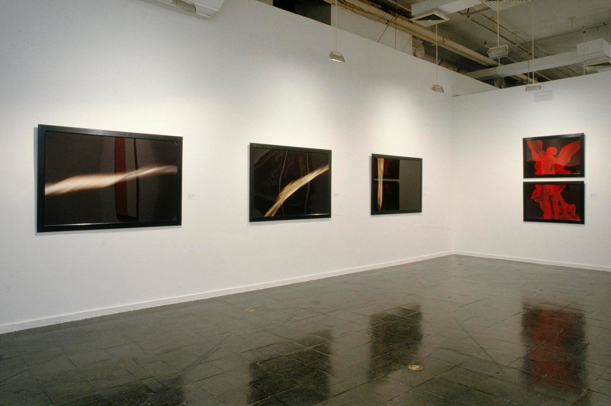 Images New Museum Digital Archive